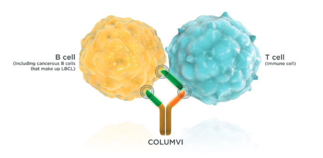 Treatment option after at least 2 courses of therapy for certain types ...